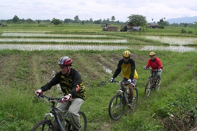 Chiang Mai Rice Fields Biking Tour - What’s Included and What’s Not