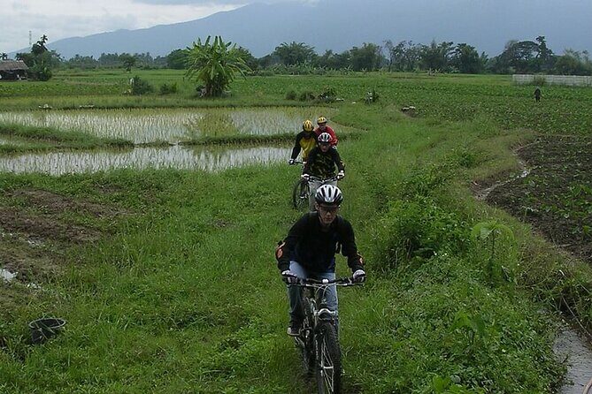 Chiang Mai Rice Fields Biking Tour - Visualizing the Ride: Scenic Highlights and Challenges