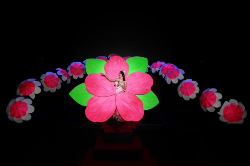 Chiang Mai: Siam Dragon Cabaret Show with Optional Transfer - Key Points