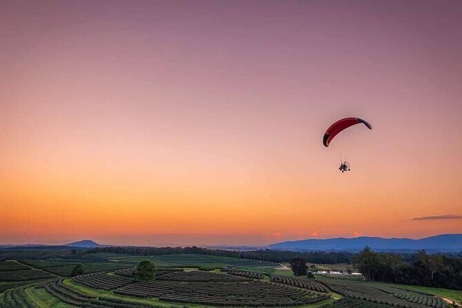 Chiang Mai Sky Adventure with Paramotor Flight Experience - What We Love About This Tour