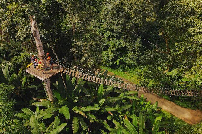 Chiang Mai Sky Hawk Zipline Adventure in the Jungle Canopy - The Experience: What to Expect