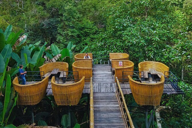 Chiang Mai Sky Hawk Zipline Adventure in the Jungle Canopy - The Sum Up