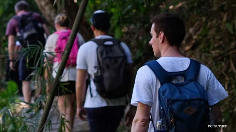 Chiang Mai: Small-Group Downhill Eco Walk to Waterfall - Key Points