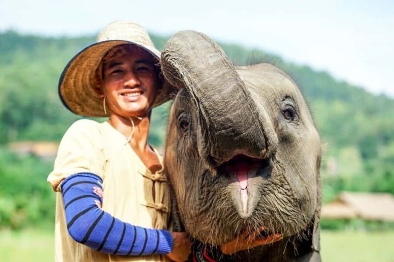 Chiang Mai: Small Group Ethical Elephant Sanctuary Tour - An Honest, Detailed Look at the Tour