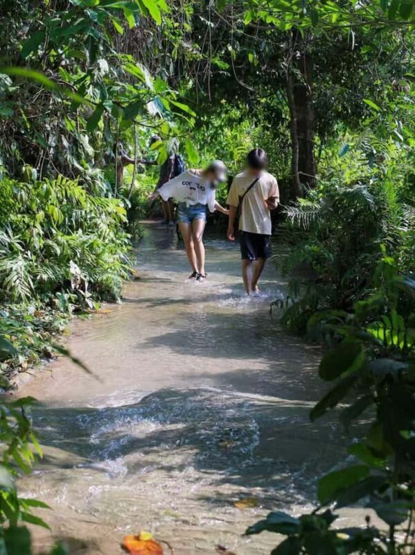 Chiang Mai: Sticky Waterfall and Blue Temple Tour - FAQs