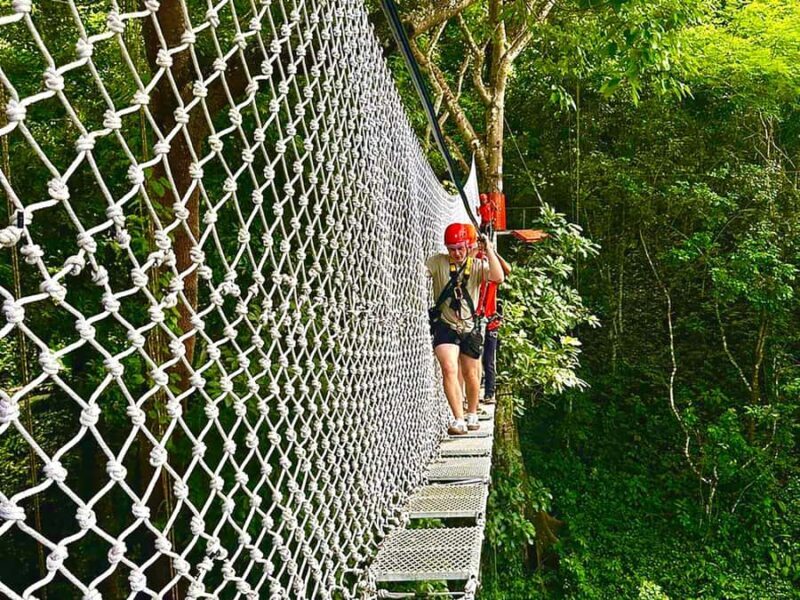 Chiang Mai: Sticky Waterfall and Zipline Adventure Day Trip - An In-Depth Look at the Tour Experience