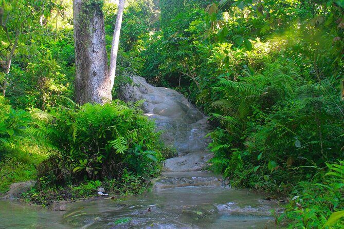 Chiang Mai: Sticky Waterfall by Local Truck with Market Stop - Who Will Love This Tour?