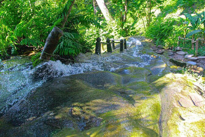 Chiang Mai: Sticky Waterfall by Local Truck with Market Stop - Final Thoughts: Is It Worth It?