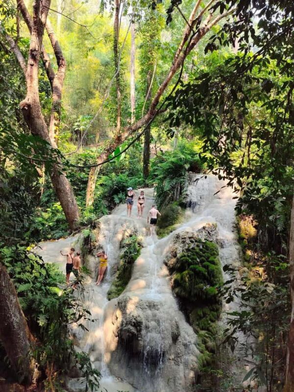 Chiang Mai : Sticky Waterfall, Cave, Forest Walk Tour - An In-Depth Look at the Tour Experience