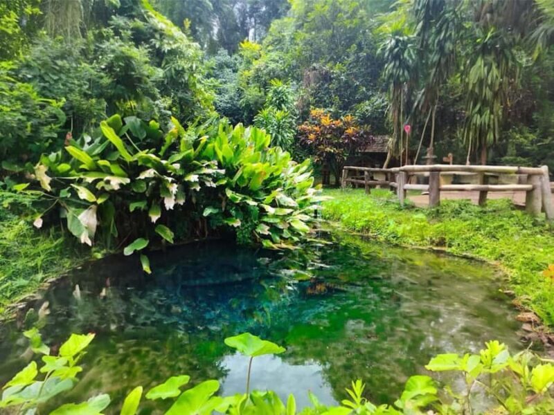 Chiang Mai : Sticky Waterfall, Cave, Forest Walk Tour - Who Will Love This Experience?