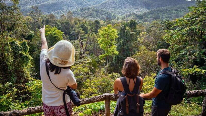 Chiang Mai: Sticky Waterfall, Chet Si Fountain Park Transfer - Key Points
