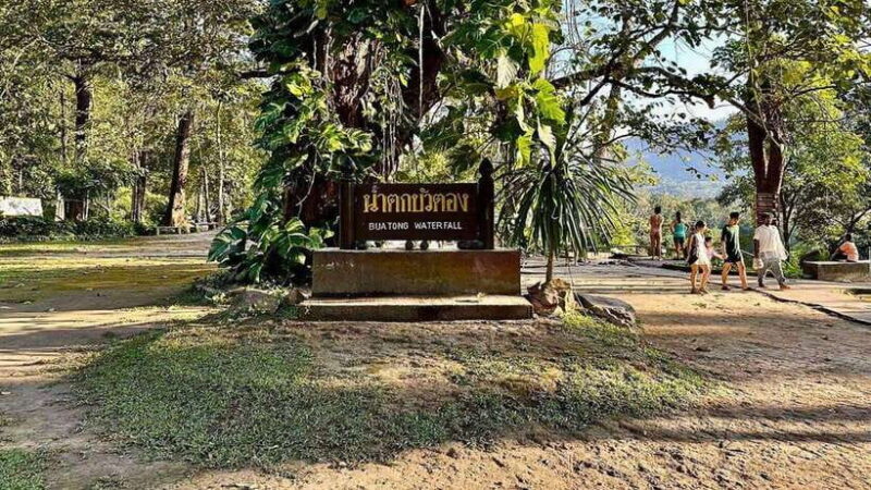 Chiang Mai: Sticky Waterfall, Chet Si Fountain Park Transfer - What Do the Reviews Say?