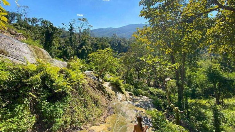 Chiang Mai: Sticky Waterfall, Chet Si Fountain Park Transfer - Who Is This Tour Best For?
