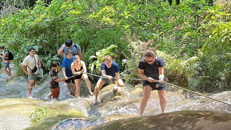 Chiang Mai : Sticky waterfall (Half Day Tour) Hotel Transfer - Key Points