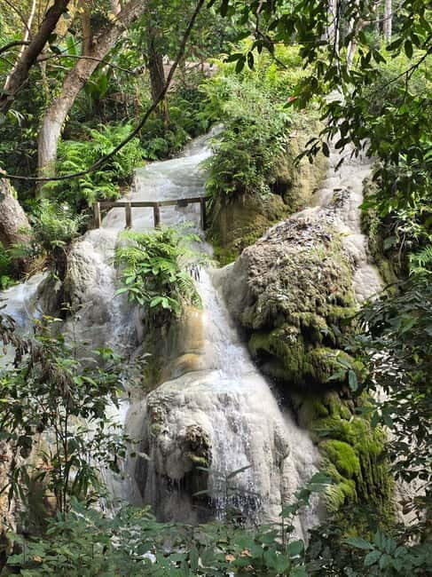 Chiang Mai : Sticky waterfall (Half Day Tour) Hotel Transfer - Transport and Price — How Good Is the Deal?