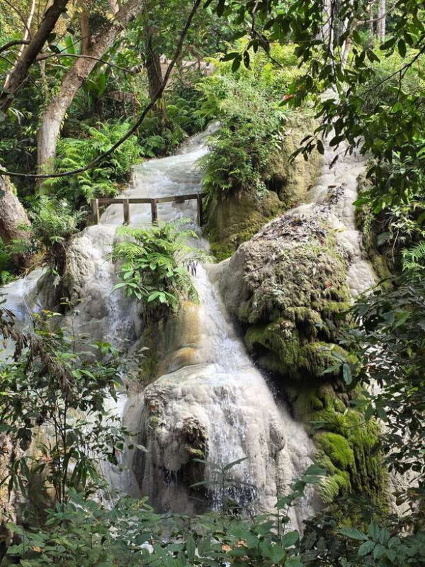 Chiang Mai : Sticky waterfall (Half Day Tour) Hotel Transfer - Who Should Consider This Tour?