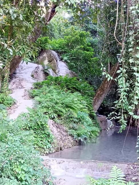 Chiang Mai: Sticky Waterfall Half day tour - A Closer Look at the Experience