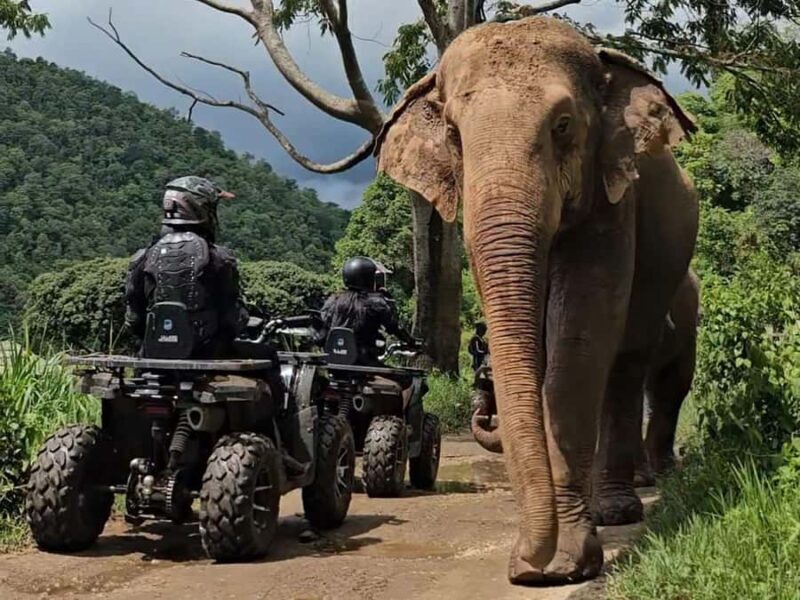 Chiang Mai Sticky Waterfall Tour, ATV and Scenic Café - Key Points