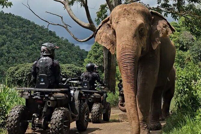 Chiang Mai Sticky Waterfall Tour ATV and Scenic Café - Who Will Love This Tour?