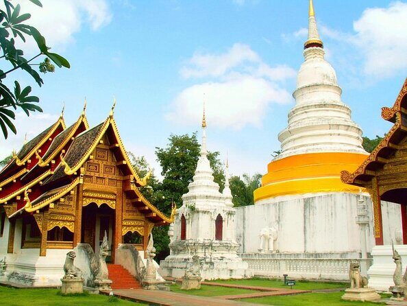 Chiang Mai Sunlight Moonlight : Cultural Tuk Tuk Experience - The Sum Up: Who Will Love This Tour?