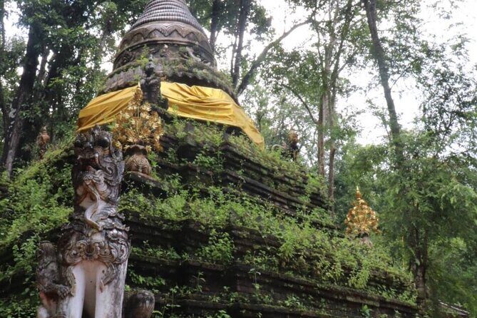 Chiang Mai Sunset Point, Wat Pha Lat, Wat Doi Suthep, Wat Umong - Who Will Love This Tour?