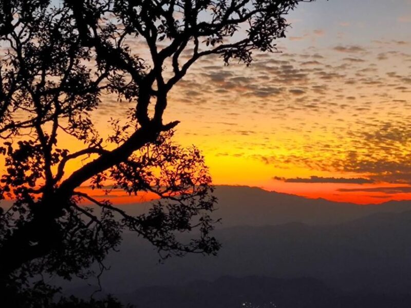 Chiang Mai Sunset Point,Wat Pha Lat,Wat Doi Suthep,Wat Umong - Who Should Book This Tour?