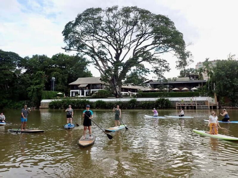 Chiang Mai: SUP Paddleboarding on the Ping River - An Honest Look at the Experience