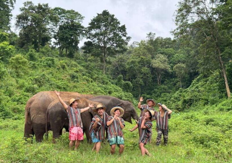 Chiang Mai | TeeTee Elephant Home Elephant Care Half-Day - Price and Value Analysis