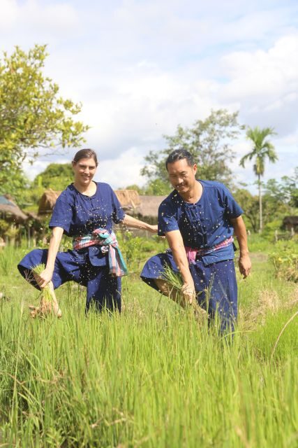 Chiang Mai: Thai Buffalo and Rice Planting Experience - Introduction: What’s This Tour About?