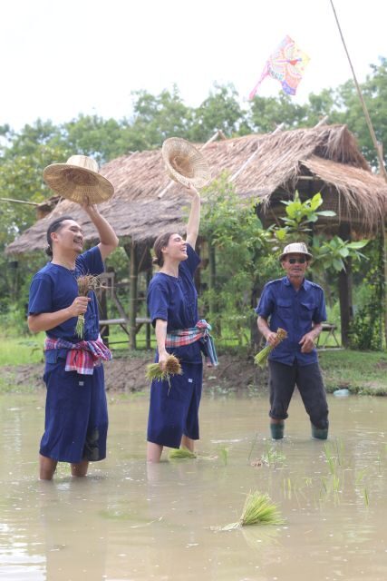 Chiang Mai: Thai Buffalo and Rice Planting Experience - The Experience in Detail: What Sets It Apart?