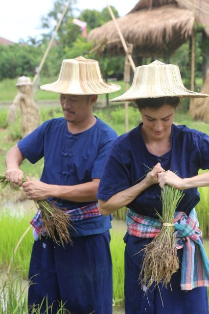Chiang Mai: Thai Buffalo and Rice Planting Experience - Practical Considerations