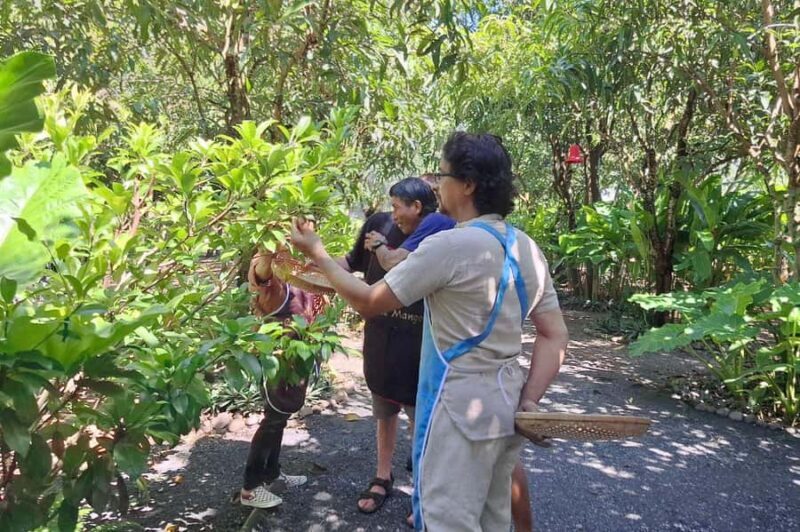 Chiang Mai: Thai Cooking Class & Village Cycling Tour - Who Should Consider This Tour?