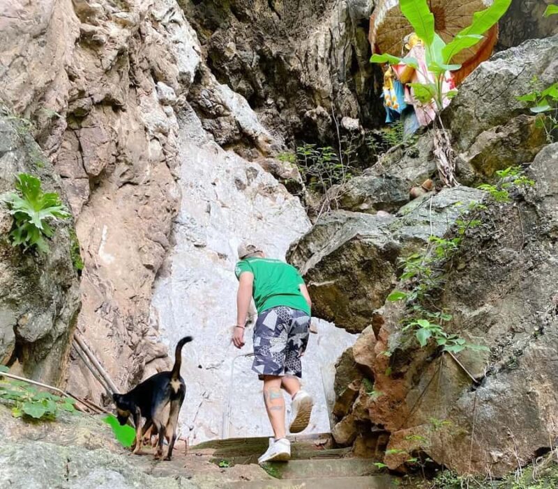 Chiang Mai: The Original Sticky Waterfalls & Thai Cooking - Transportation and Logistics