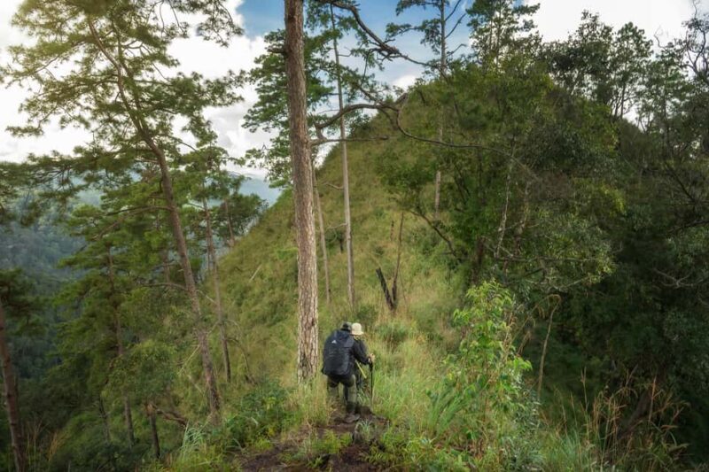 Chiang Mai : Thep Sadet & Coffee Plantation Full Day Hiking - FAQ