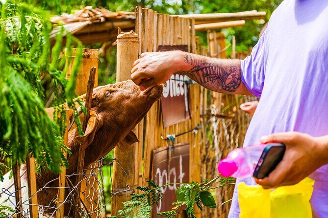 Chiang Mai to Chiang Rai Temples and Lalita Cafe Day Tour - Rong Suea Ten (Blue Temple)