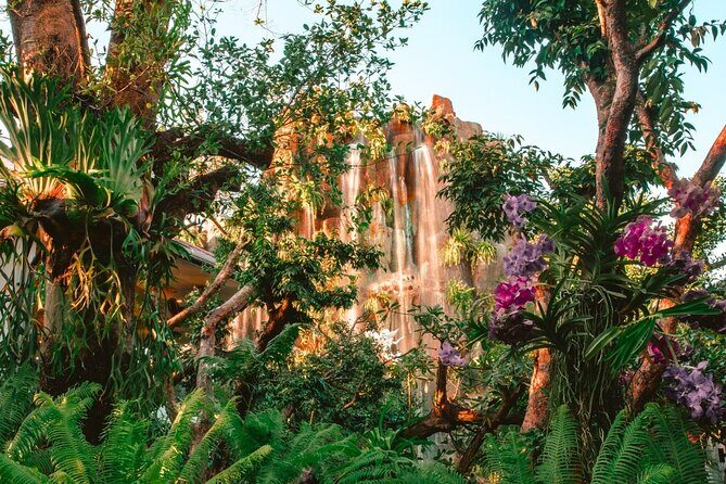 Chiang Mai to Chiang Rai: White Temple, Blue Temple, Lalitta Cafe - Lalitta Café: A Moment of Calm and Creativity