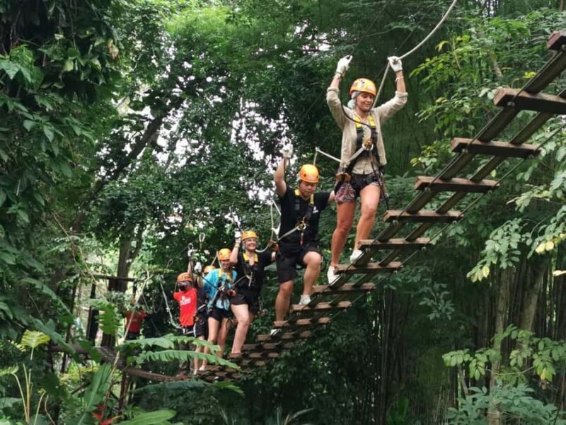 Chiang Mai: Tree House Stay & Jungle Zip-Lining - Key Points