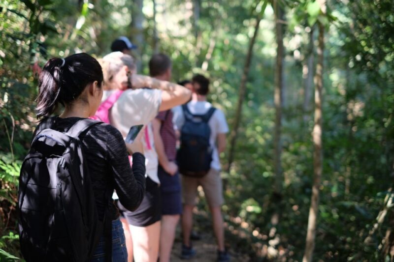 Chiang Mai Trek: Doi Suthep Area w/ Market and Temple Visit - Value and Who Should Consider This Tour
