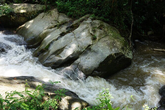 Chiang Mai Trekking Tour :Full day (no rafting) - Price and Value