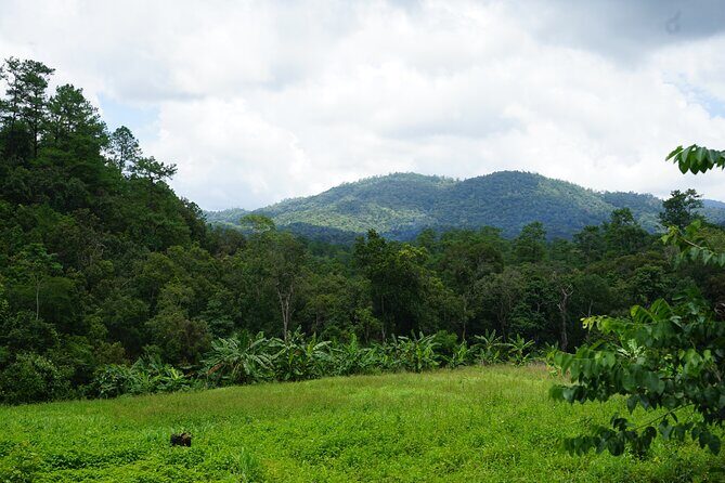 Chiang Mai Trekking Tour :Full day (no rafting) - FAQ