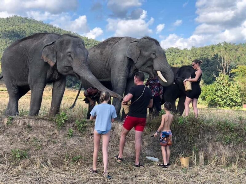 Chiang Mai: Two-day tour at the Temple of Elephants Sanctuary - Authenticity and Review Highlights