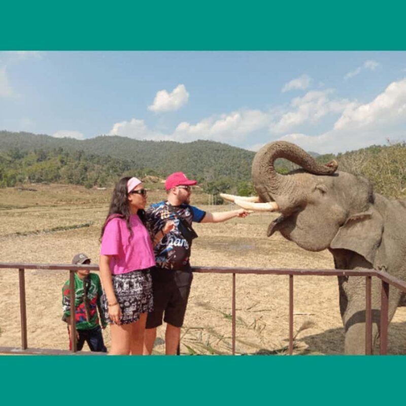Chiang Mai: Two-day tour at the Temple of Elephants Sanctuary - Who Will Love This Tour?