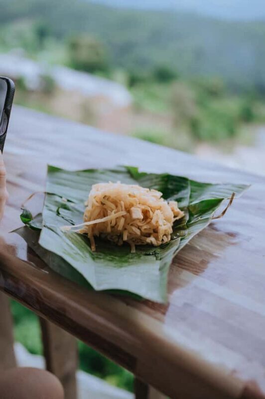 Chiang Mai: Two-day tour at the Temple of Elephants Sanctuary - Final Thoughts