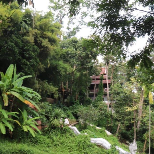 Chiang Mai: Wat Umong, Wat Pha Lat And Wat Doi Suthep Tour - Wat Umong: An Ancient Tunnel and Meditation Haven