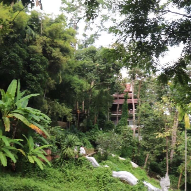 Chiang Mai: Wat Umong, Wat Pha Lat And Wat Doi Suthep Tour - Practical Details and Logistics