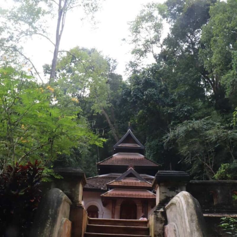 Chiang Mai: Wat Umong, Wat Pha Lat And Wat Doi Suthep Tour - Final Thoughts: Is It Worth It?