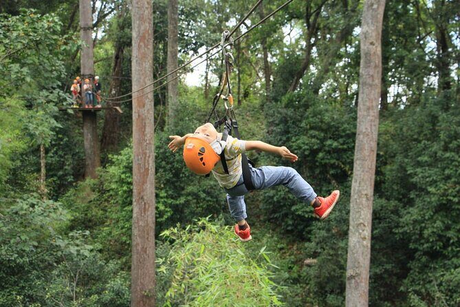 Chiang Mai Zip Line Experience - What You Can Expect: A Detailed Look at the Tour