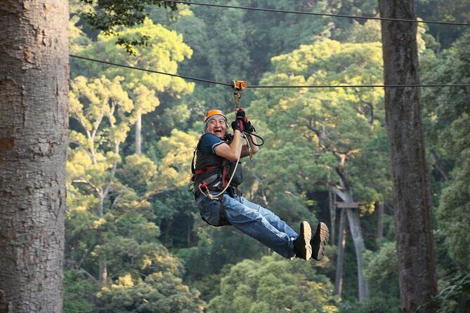 Chiang Mai Zip Line Experience - The Sum Up: A Fun, Safe, and Scenic Adventure