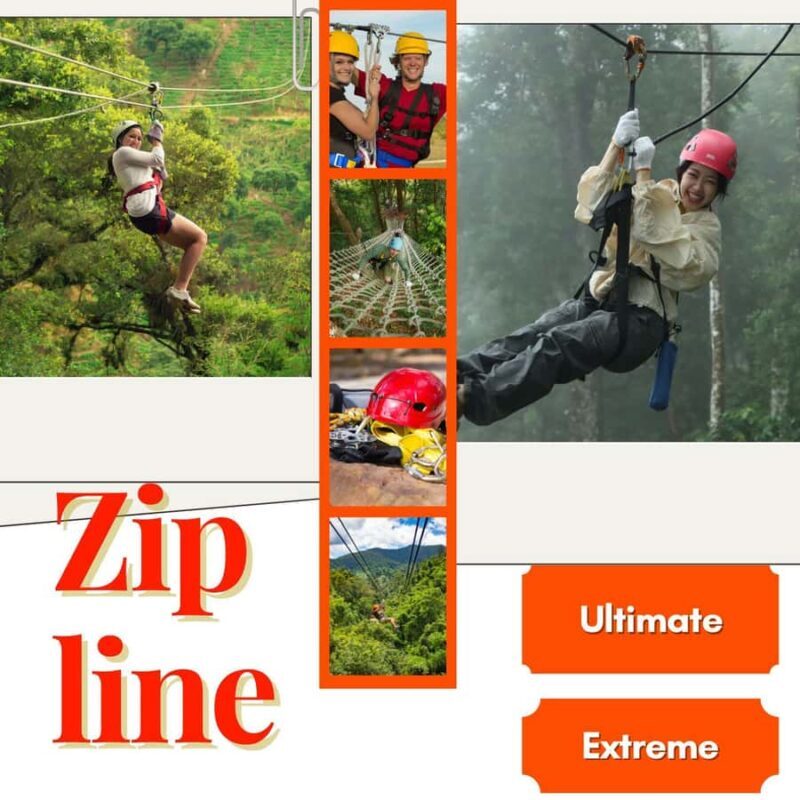 Chiang Mai: Zipline Adventure with Buffet Lunch and - Key Points