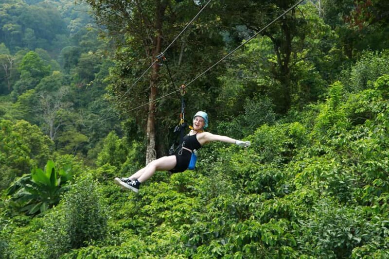 Chiang Mai: Zipline Adventure with Buffet Lunch and - Practical Details: Transport, Duration, and What to Bring